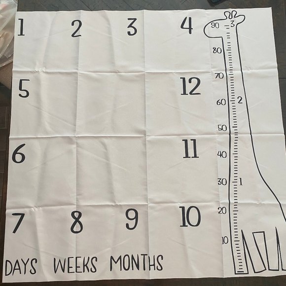 Other | Monthly Milestone Blanket Photography Background | Poshmark